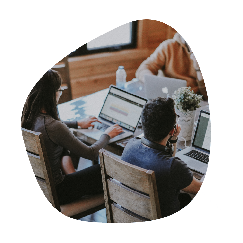 About – TechNurture E-Assessments and IT Services